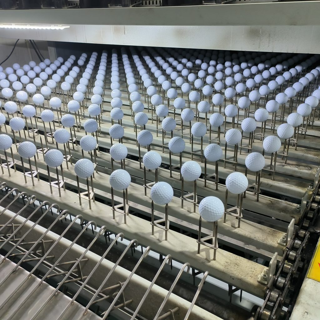 Practice Golf Balls White